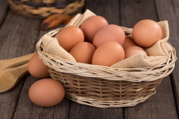 About Egg Washing And Storage: Your Questions Answered • The Farmer's Lamp