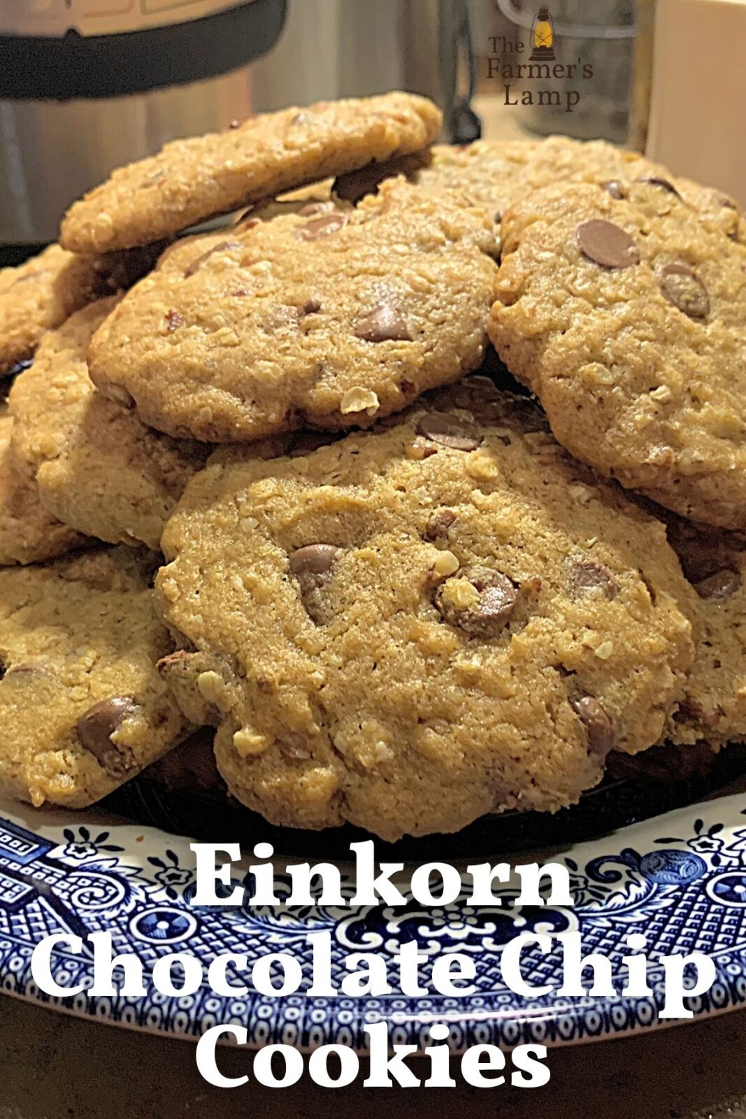 Moist Delicious Einkorn Chocolate Chip Cookies Recipe • The Farmer's Lamp