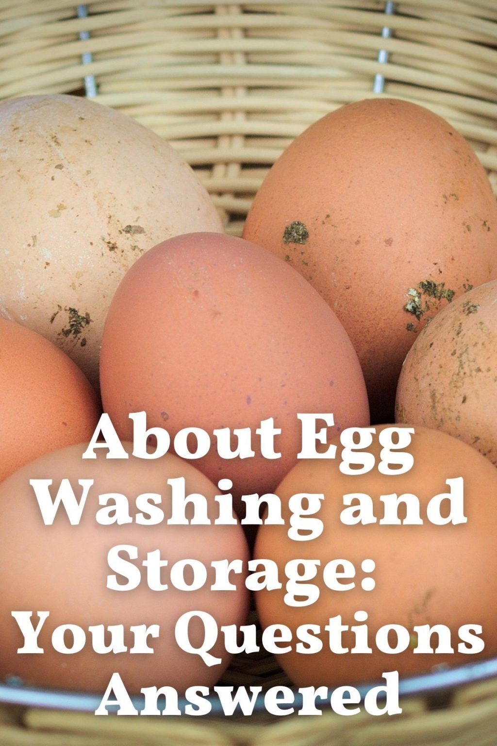 About Egg Washing And Storage: Your Questions Answered • The Farmer's Lamp