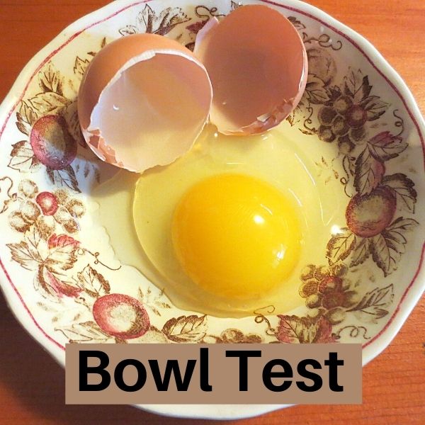 Rotten Egg Yolk