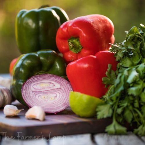 Growing Bell Pepper Plants 101 The Farmer's Lamp